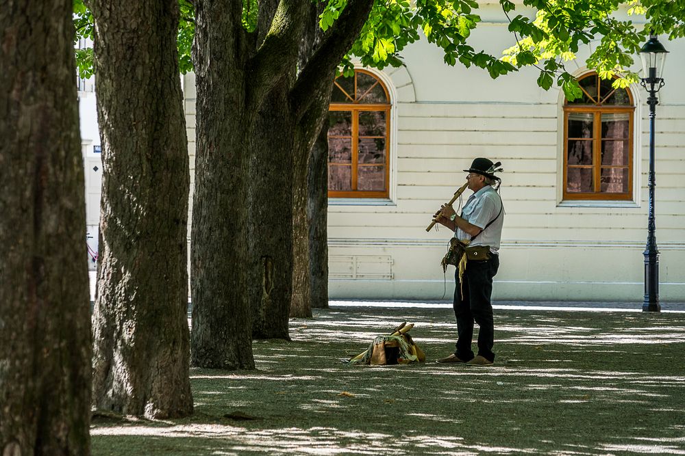 Der Musikant Foto & Bild | world, schweiz, basel Bilder auf fotocommunity