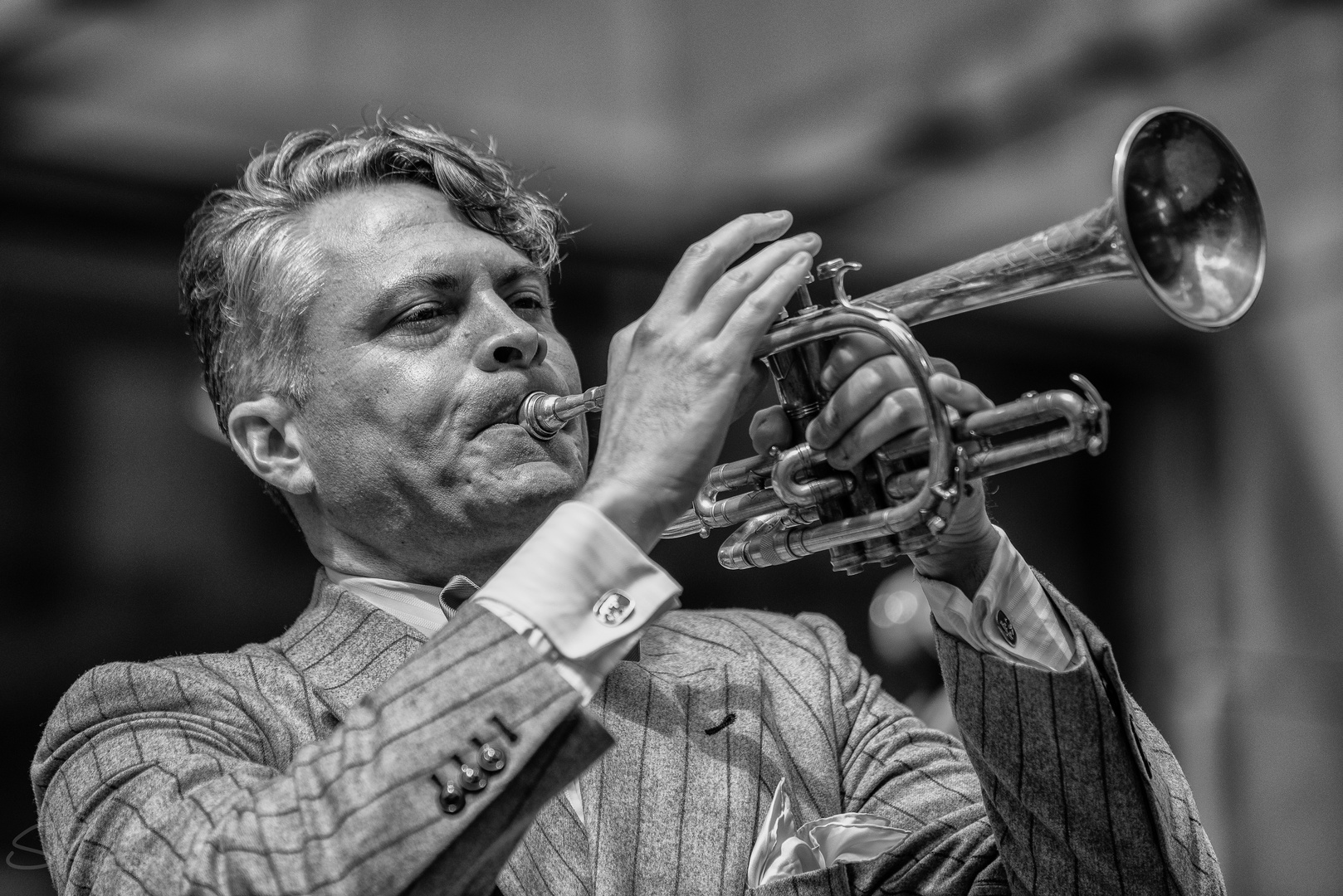 der Musiker Foto & Bild | erwachsene, north america, united states ...