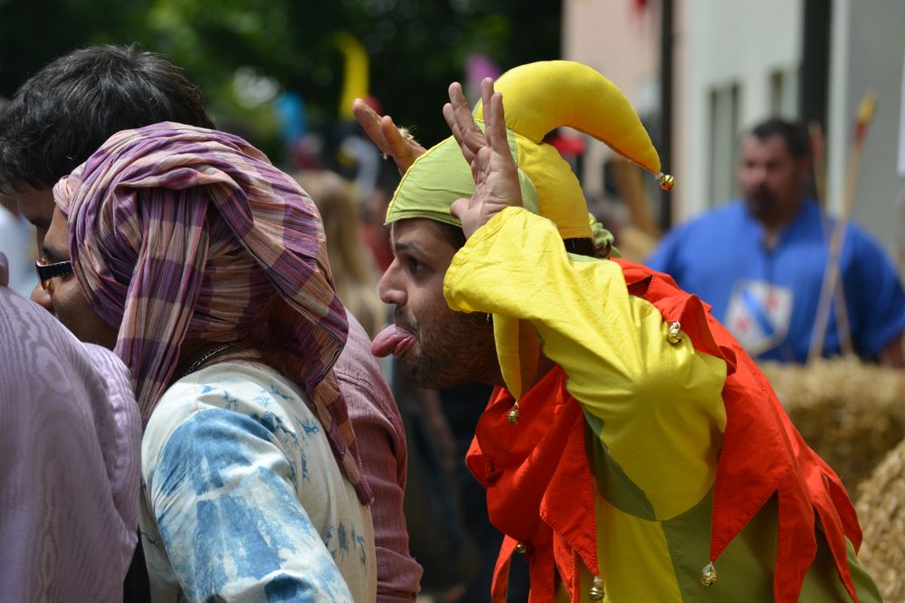 Der Narr Foto & Bild | szene, historisch verkleidet, mittelalter Bilder ...