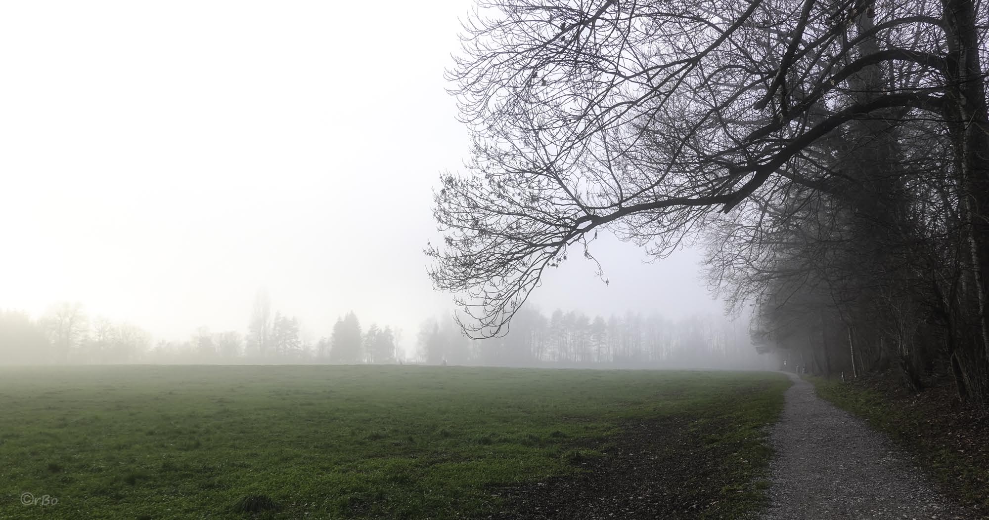 Der Nebel Foto & Bild | landschaft, jahreszeiten, lebensräume Bilder ...