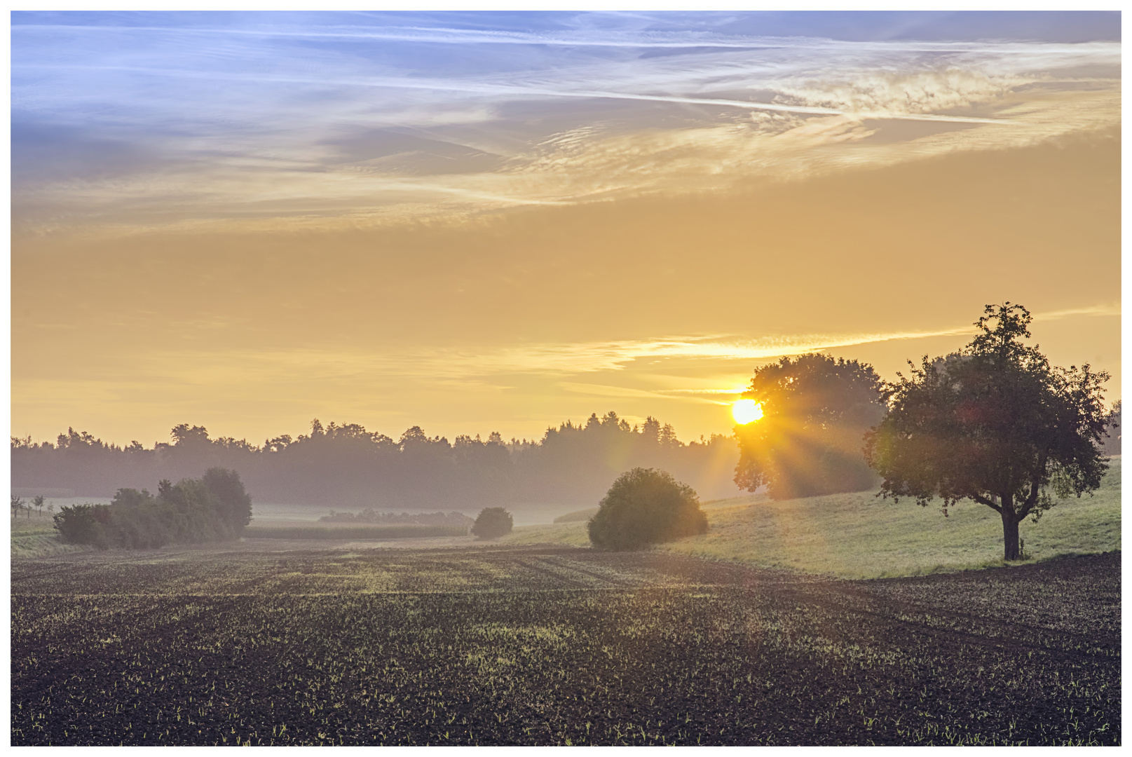 Der Nebel lichtet sich Foto & Bild | landschaft, Äcker, felder & wiesen ...