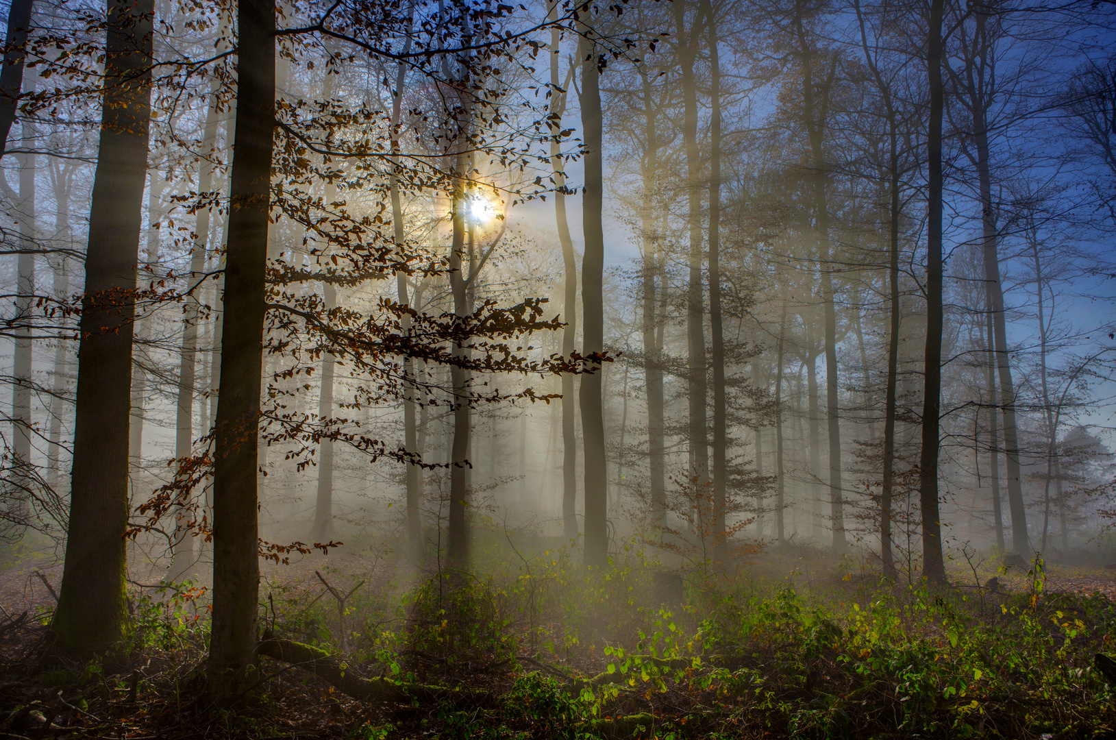 Der Nebel lichtet sich Foto & Bild | urlaub, world, natur Bilder auf ...