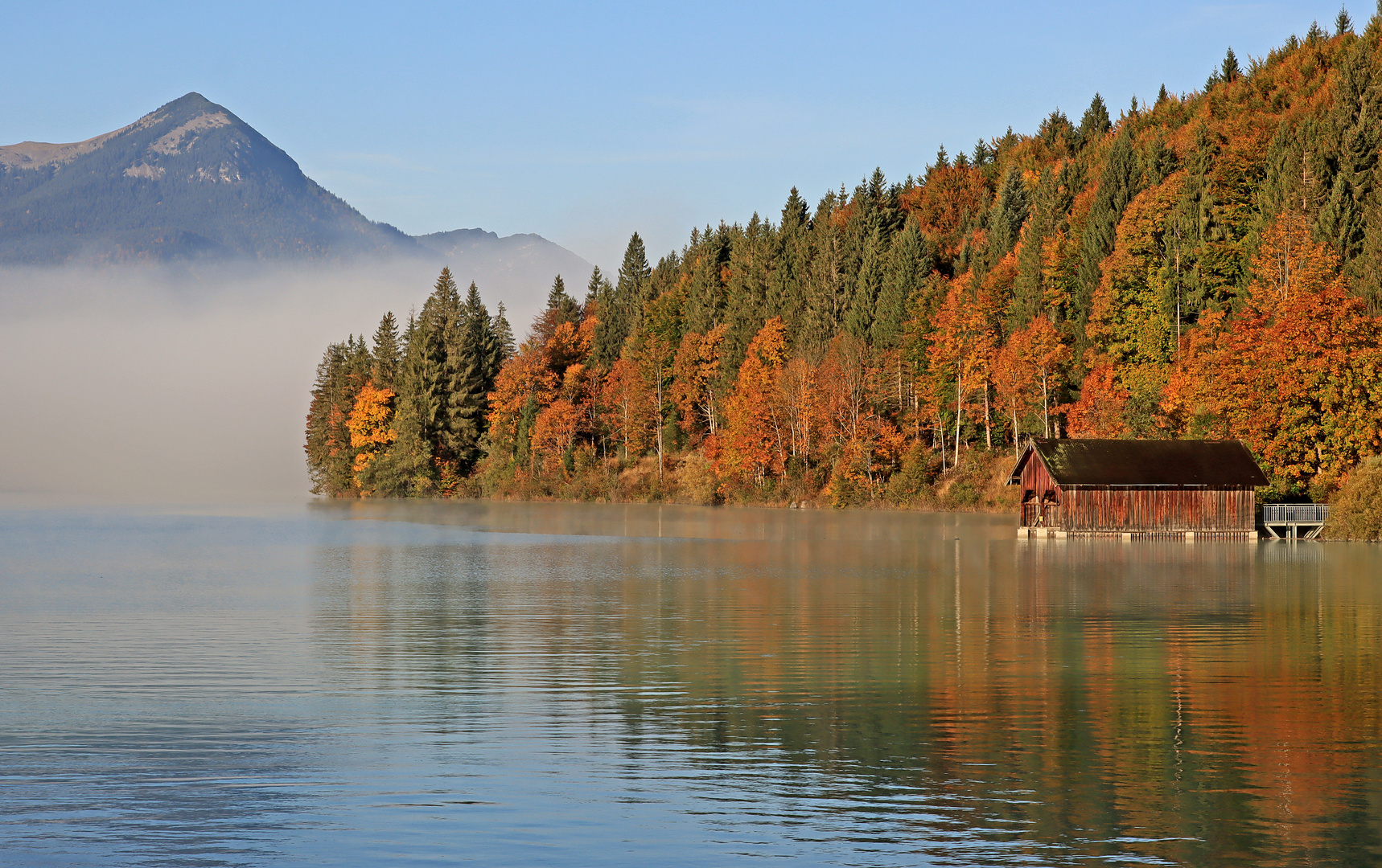Der Nebel weicht am Walchensee Foto & Bild | wasser, bäume, herbst Bilder auf fotocommunity