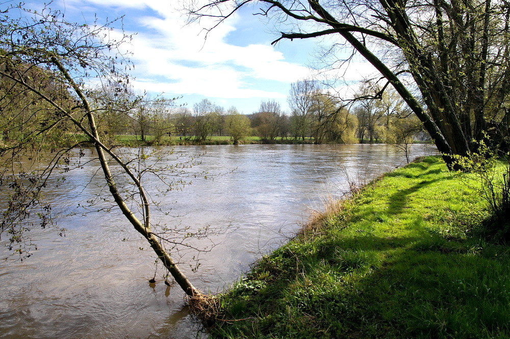 Der Neckar zwischen Mittelstadt und Pliezhausen Foto & Bild ...