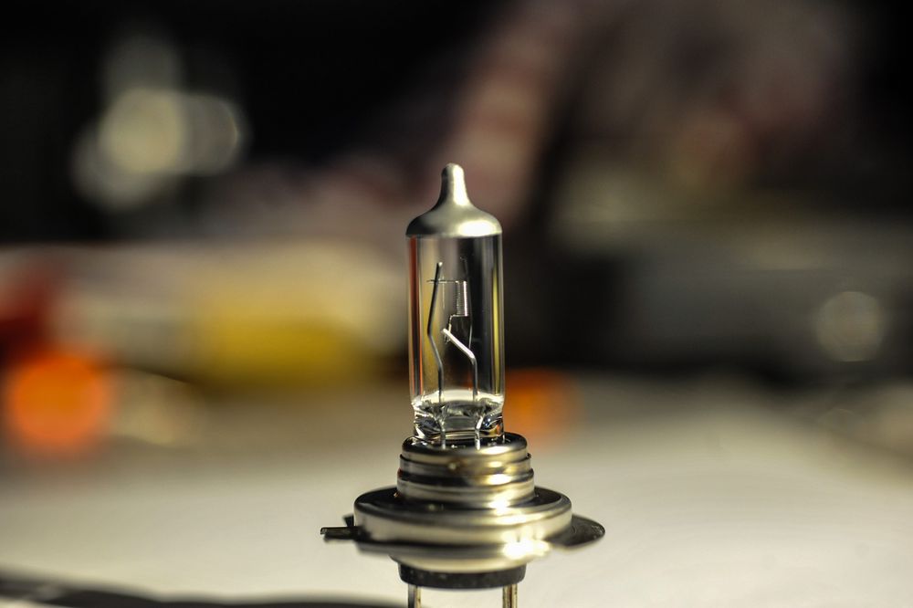 Der neue Balgen 2 Foto & Bild | Bilder auf fotocommunity