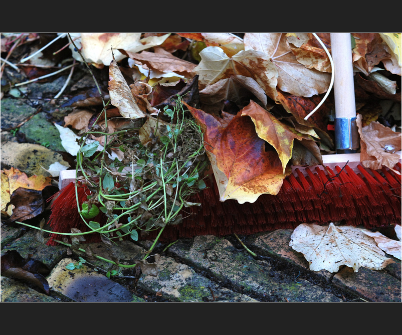 Der neue Besen Foto & Bild | jahreszeiten, herbst, stillleben Bilder ...