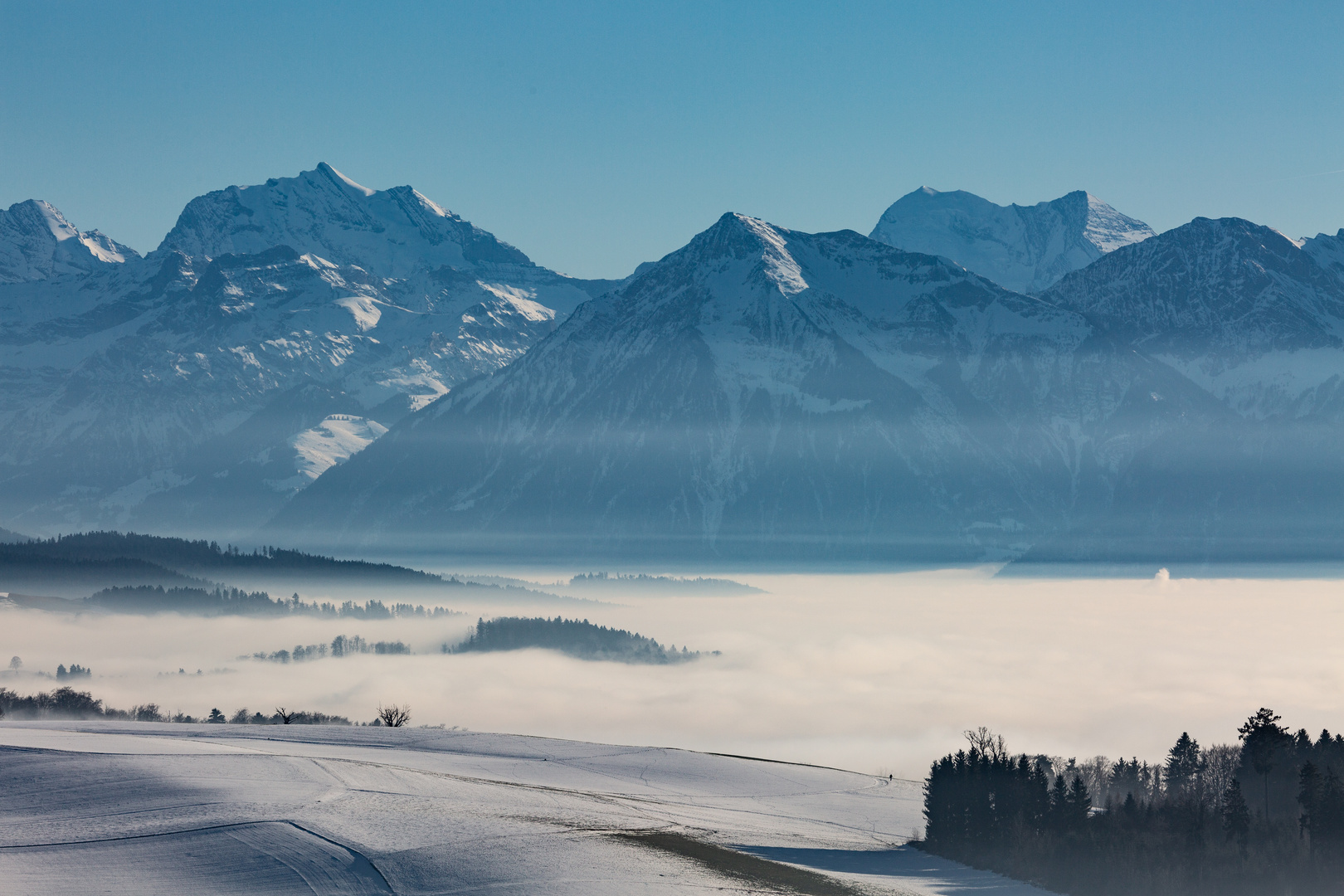 Der Niesen über dem Nebelmeer Foto & Bild | schweiz, berner alpen ...