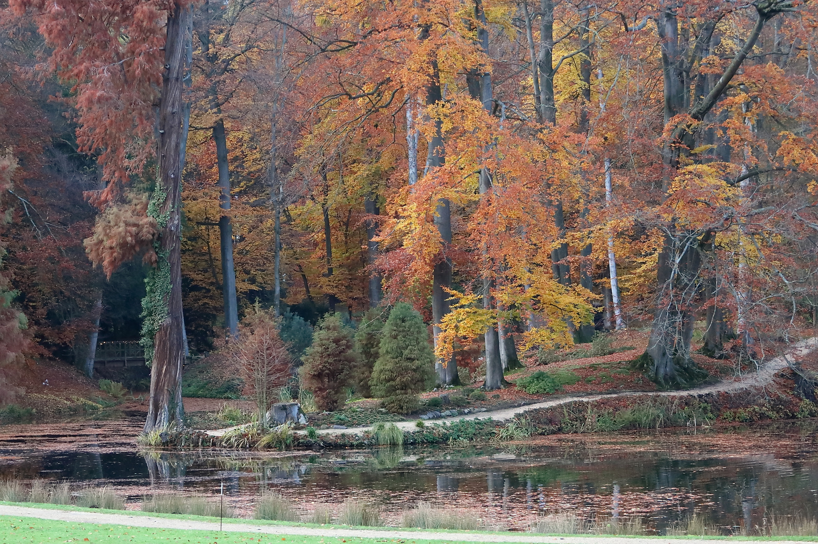 Der November zeigt Farbe..... Foto & Bild | natur, herbst, landschaft ...