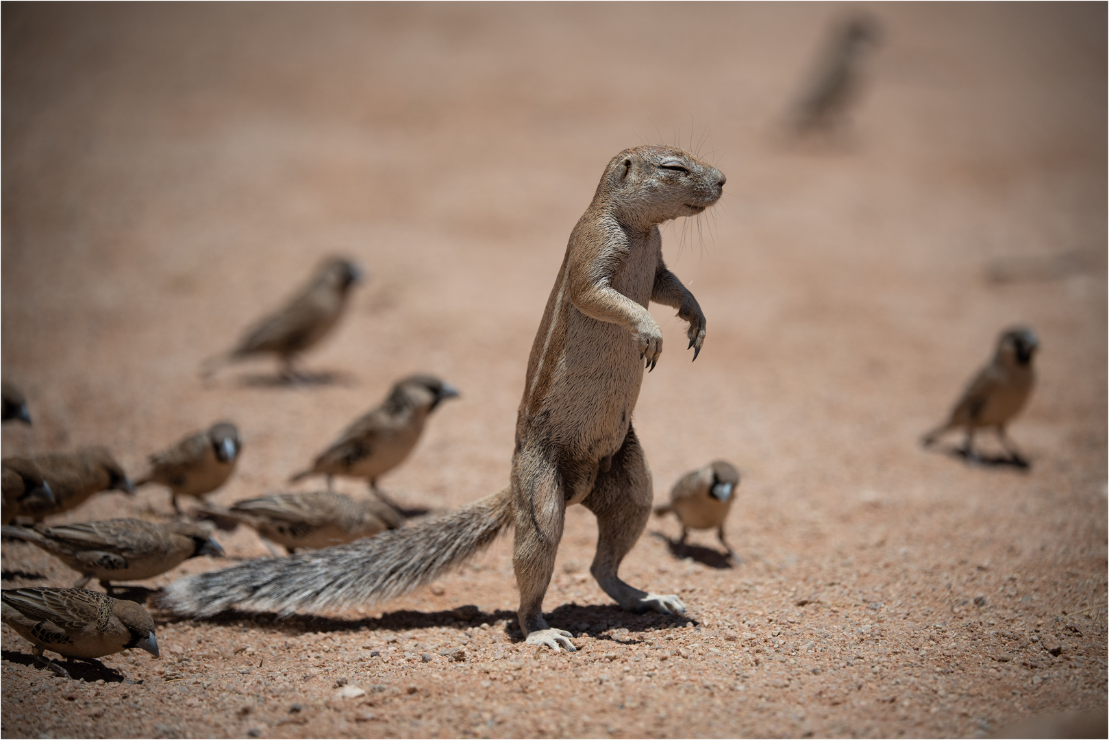 Der Optimist Foto & Bild | africa, southern africa, namibia Bilder auf fotocommunity