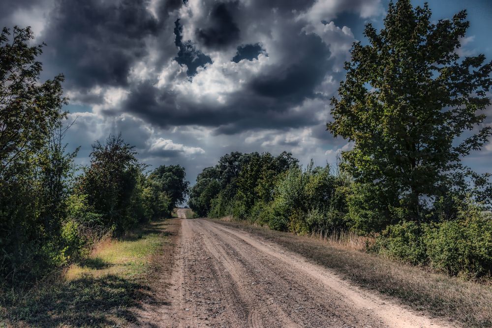 Der Pfad der ... Foto & Bild | deutschland, europe, brandenburg Bilder ...