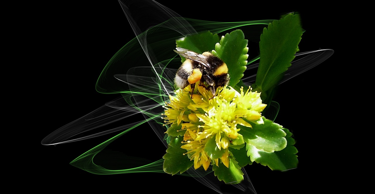 Der Pflanzenbesucher mal anders ... Foto & Bild | projekte, fotomontage, bearbeitungs ...