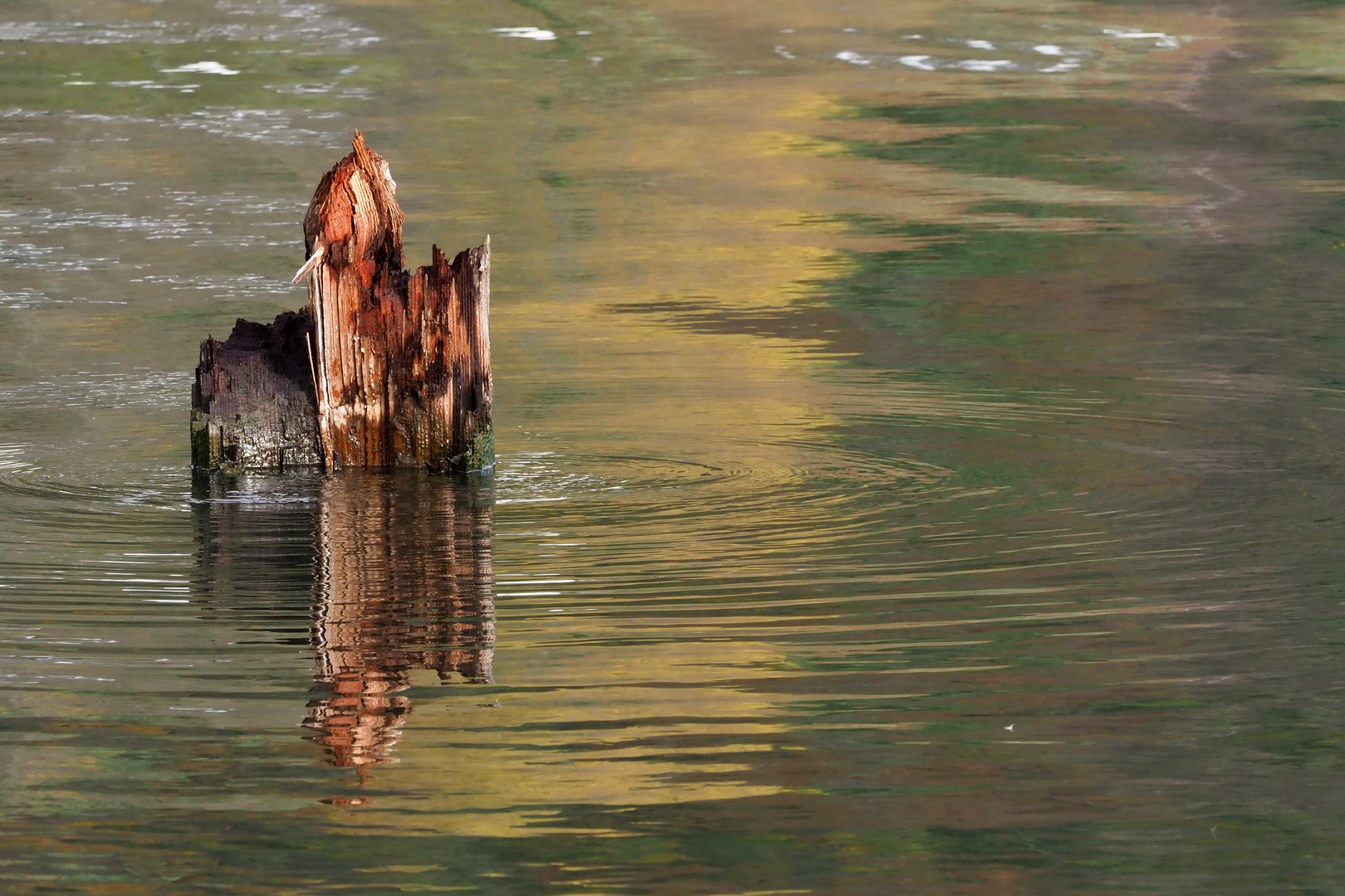 DER PFLOCK Foto & Bild | projekte, 2 - dienstag ist spiegeltag ...