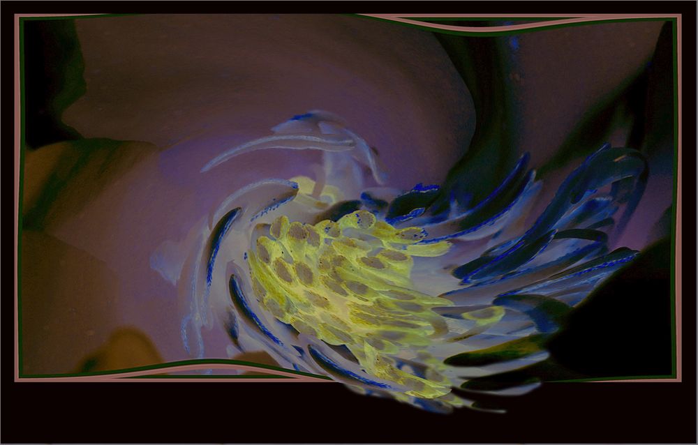 .Der Phönix ,aus der Asche Foto & Bild | fotos, spezial, natur Bilder ...