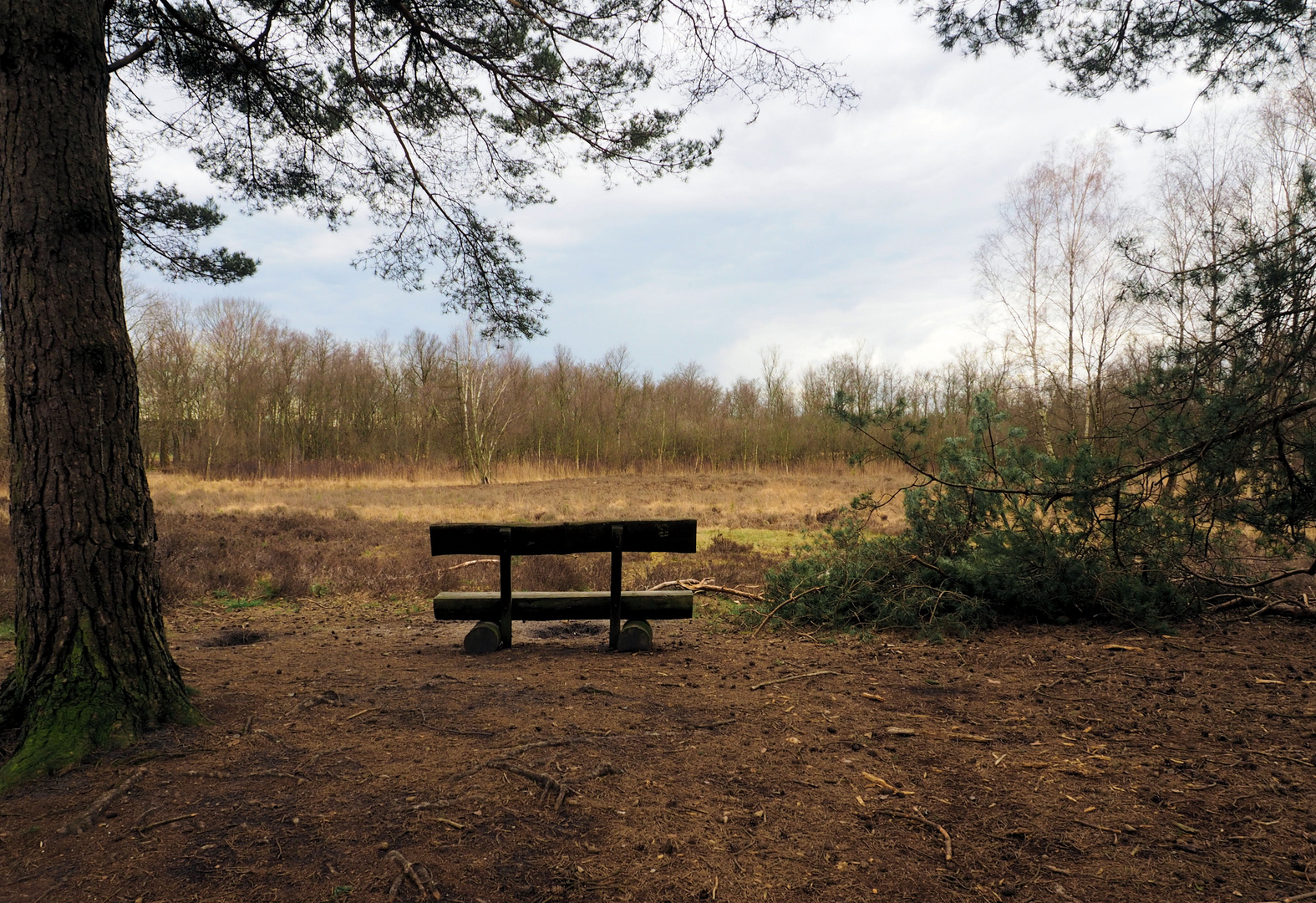 Der Platz .... Foto & Bild | baum, natur, bank Bilder auf fotocommunity