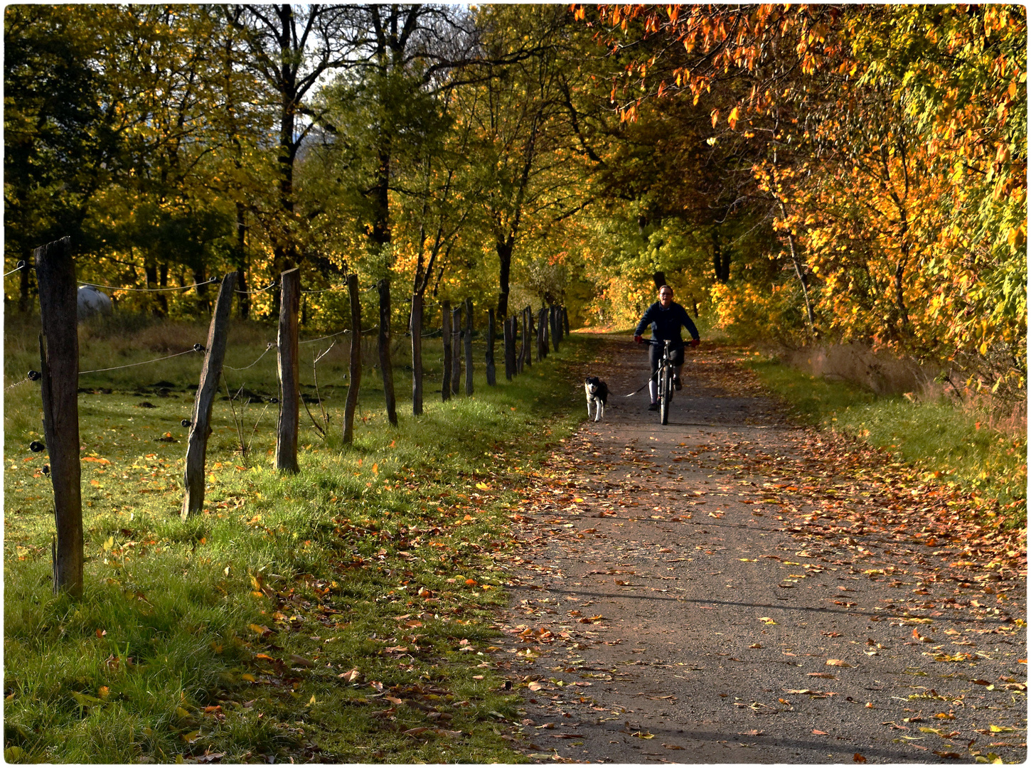 der Rad - Wanderweg Foto & Bild | landschaften, natur, herbst Bilder ...