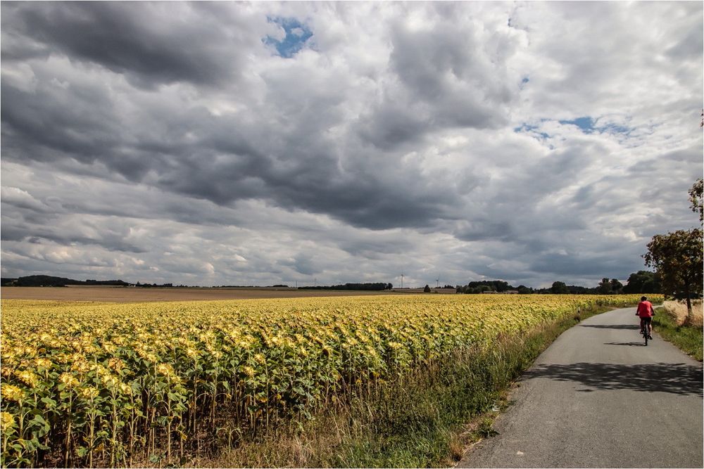 Der Radfahrer Foto & Bild | sommer, outdoor, wolken Bilder auf fotocommunity
