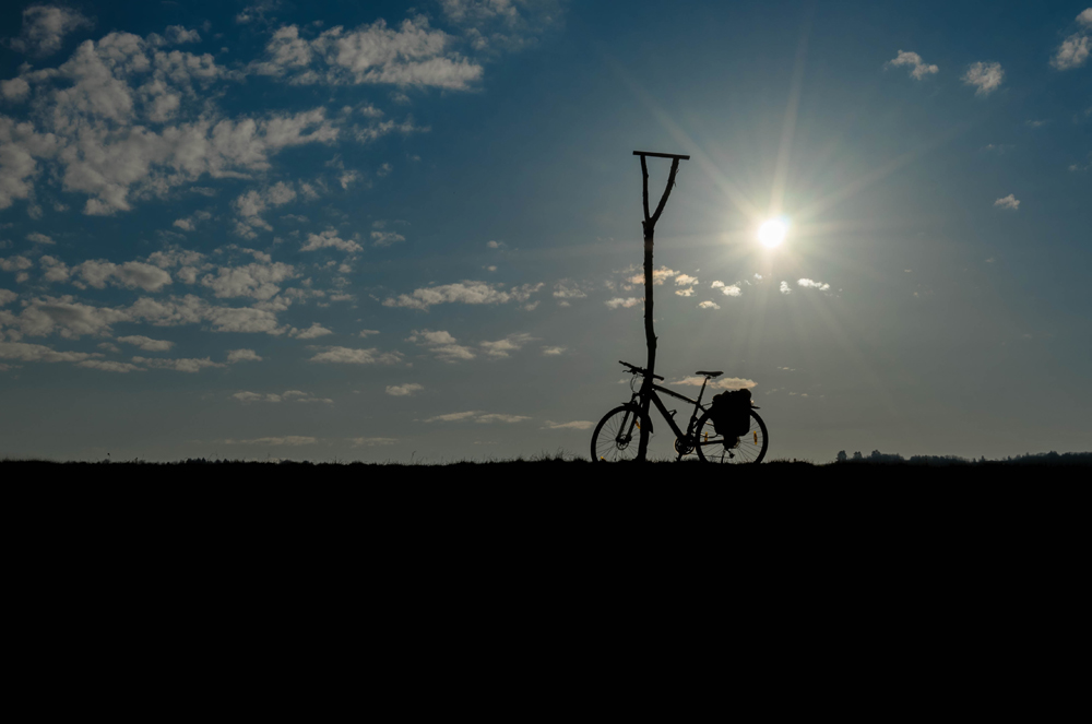 Der Rappen-Reiter Foto & Bild | world, dresden, elbe Bilder auf ...