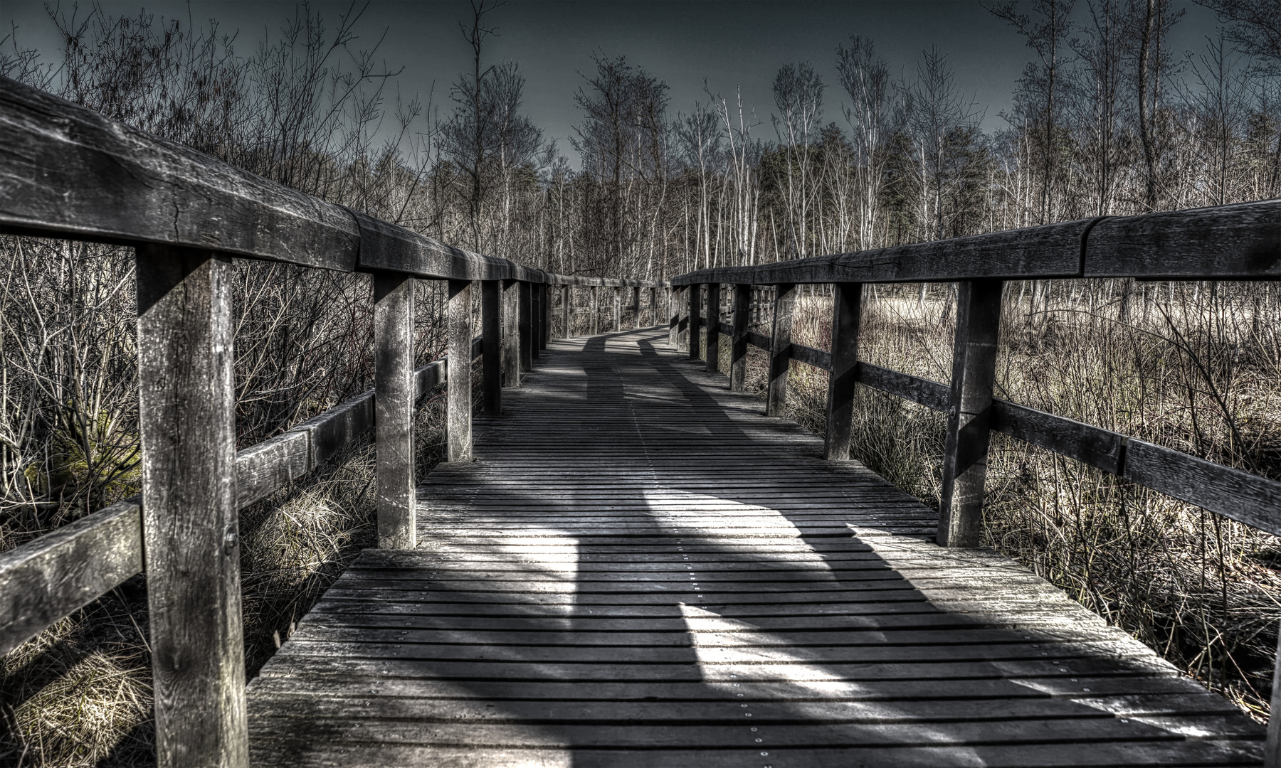 ...der rechte Pfad.... Foto & Bild | pflanzen, pilze & flechten ...