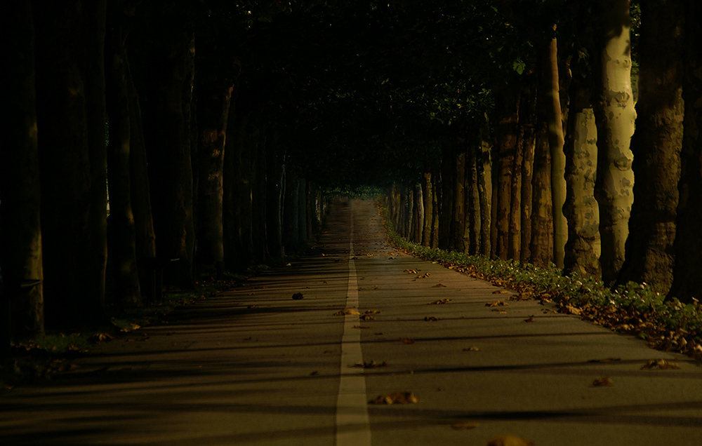 Der rechte Weg ? Foto & Bild | landschaft, naturlandschaft bei nacht ...
