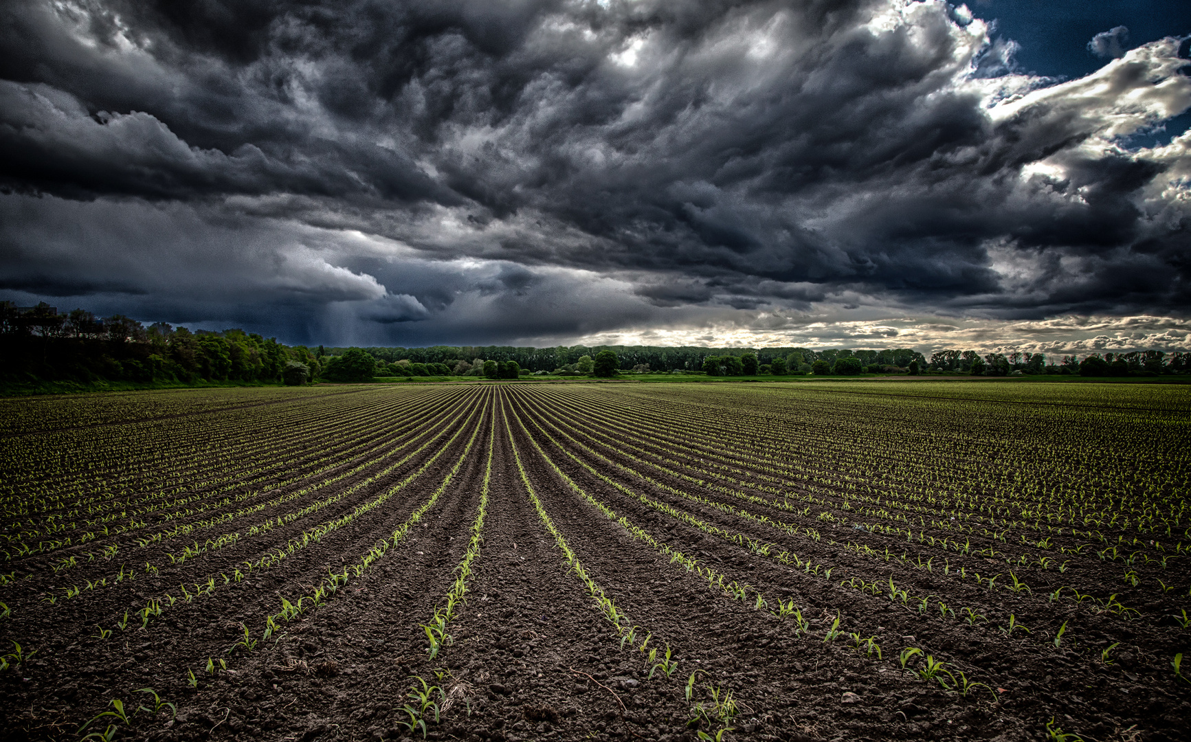 Der Regen kommt... Foto & Bild | landschaft, feld, wolke Bilder auf ...