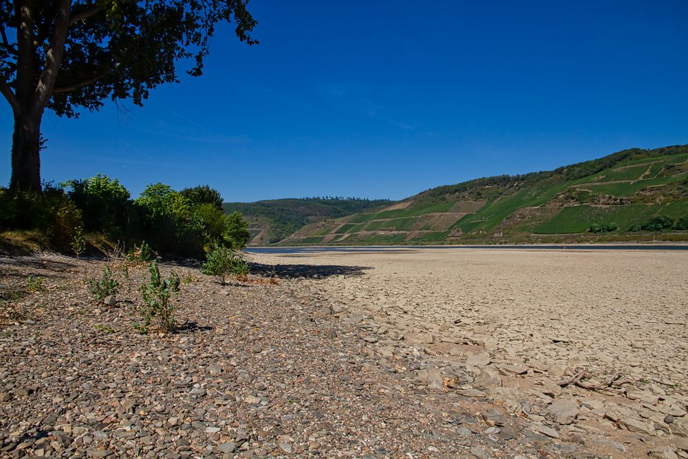 Der Rhein !!! Foto & Bild | landschaft, bach, fluss & see, flüsse und ...