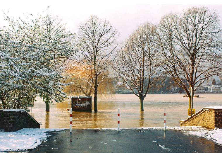 Der Rhein bei Hochwasser - zweiter Anlauf Foto & Bild | deutschland ...
