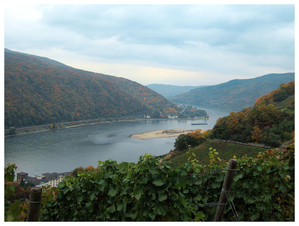 Der Rhein im Herbst 4 Foto & Bild | deutschland, europe, rheinland ...