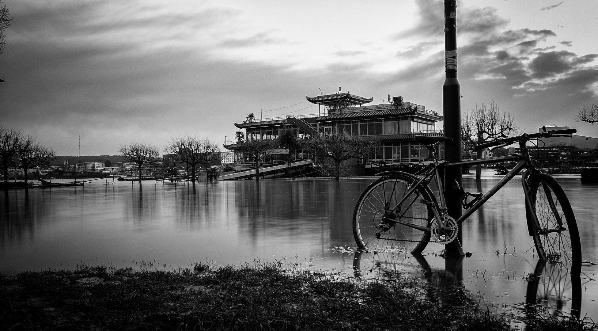 Der Rhein in Bonn-Beuel am 09.01.18 Foto & Bild | natur, landschaft ...
