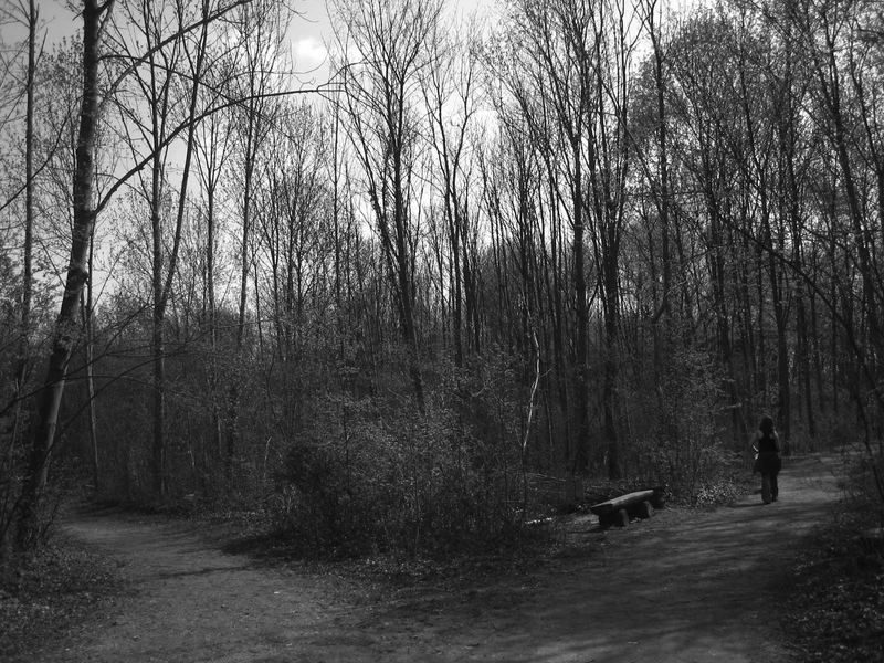 der richtige weg? Foto & Bild | natur, landschaften, youth Bilder auf ...