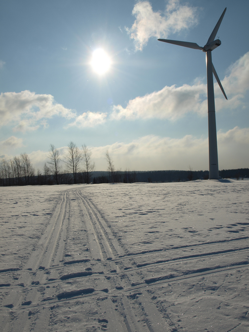 Der richtige Weg ? Foto & Bild | landschaft, lebensräume, natur Bilder ...