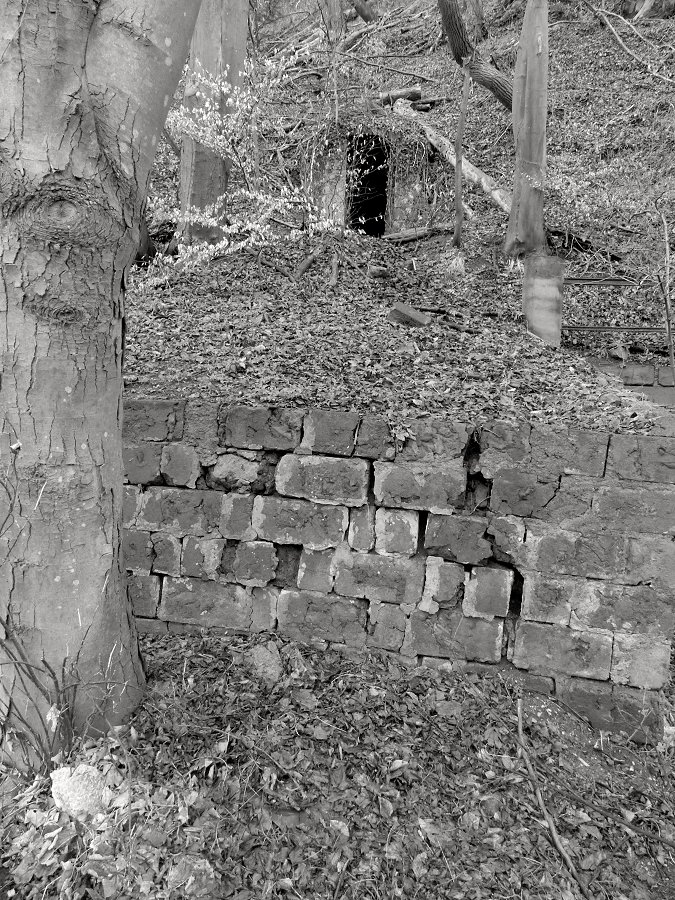 Der Riss in der Wand Foto & Bild | wald, österreich, kufstein Bilder ...