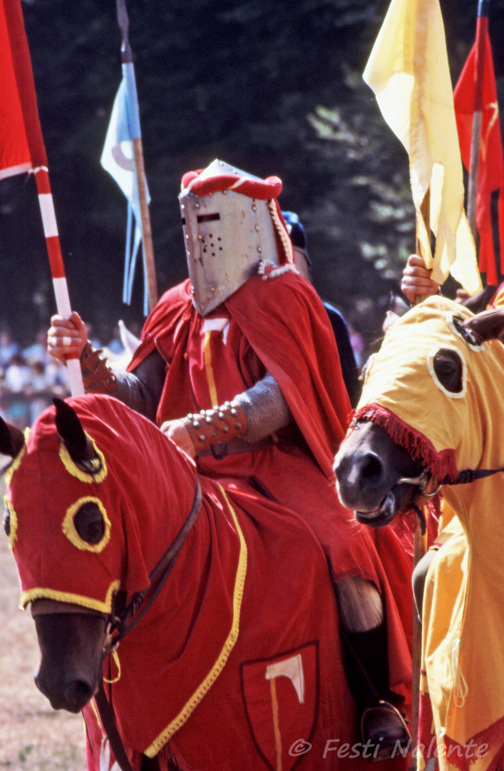 Der rote Ritter Foto & Bild | europe, hungary, hungary & slovakia ...