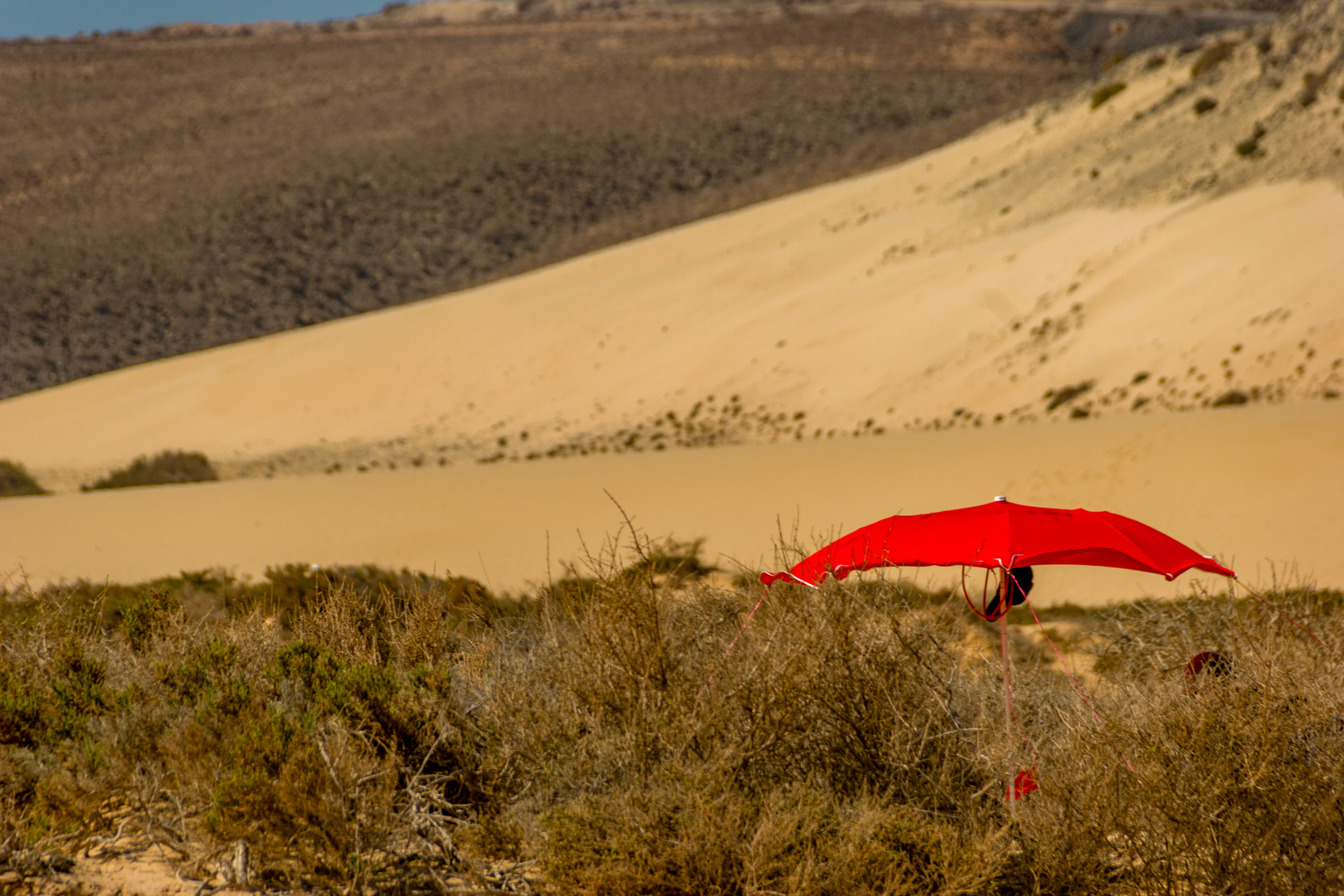 der rote Schirm Foto & Bild | abstraktes, farben, rot Bilder auf ...
