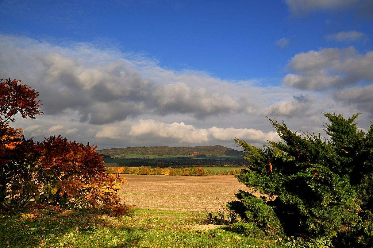 Der Rotstein Foto & Bild | natur, landschaft, pflanzen Bilder auf ...