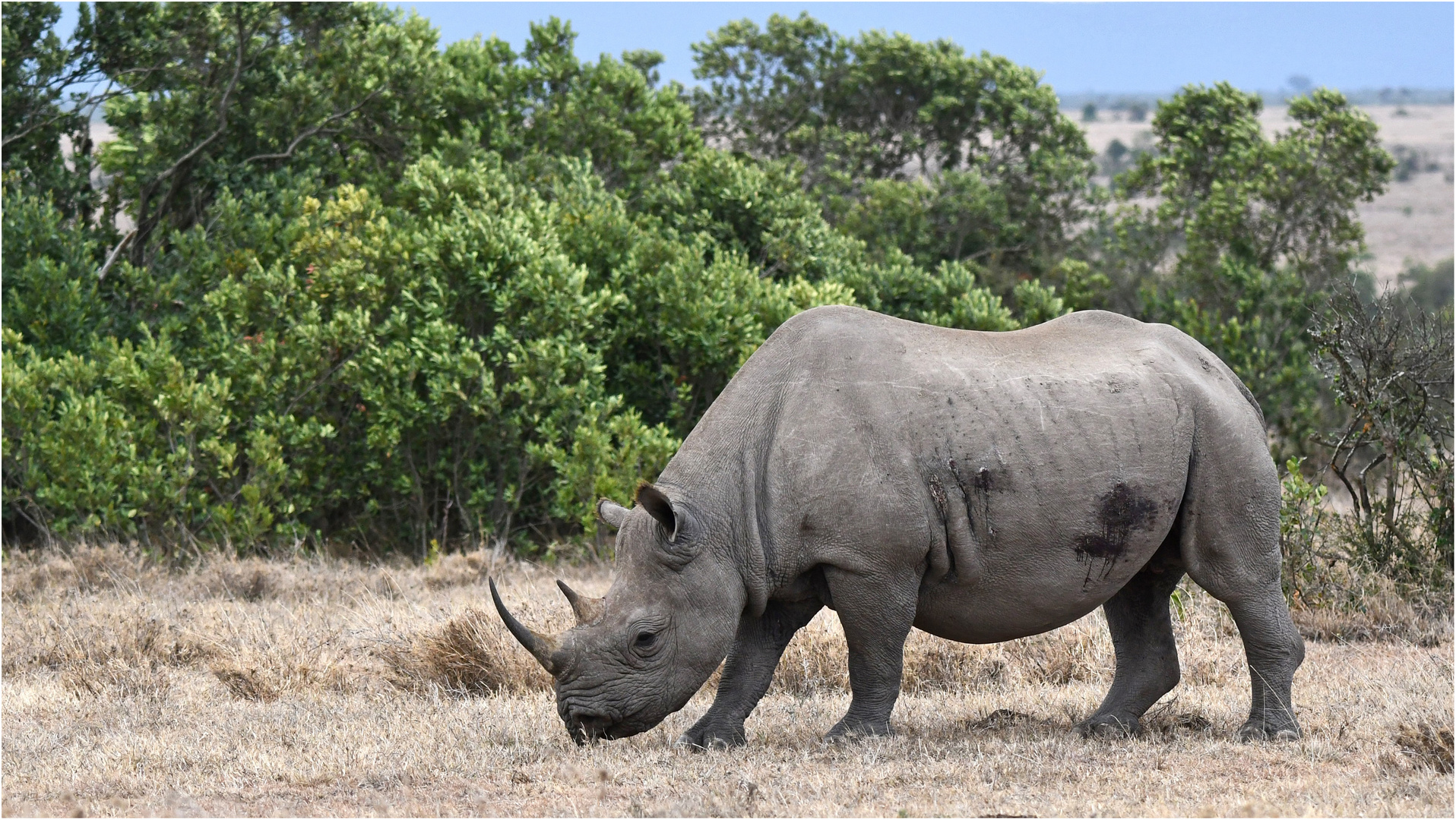 Der Schein kann trügen, ... Foto & Bild | world, natur, afrika Bilder auf fotocommunity