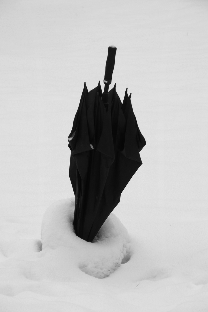 der schirm Foto & Bild | projekte, 5 - schwarzweißer freitag ...