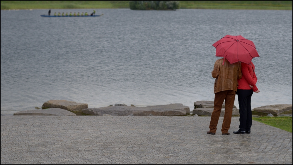 Der Schirm ... Foto & Bild | deutschland, europe, nordrhein- westfalen ...