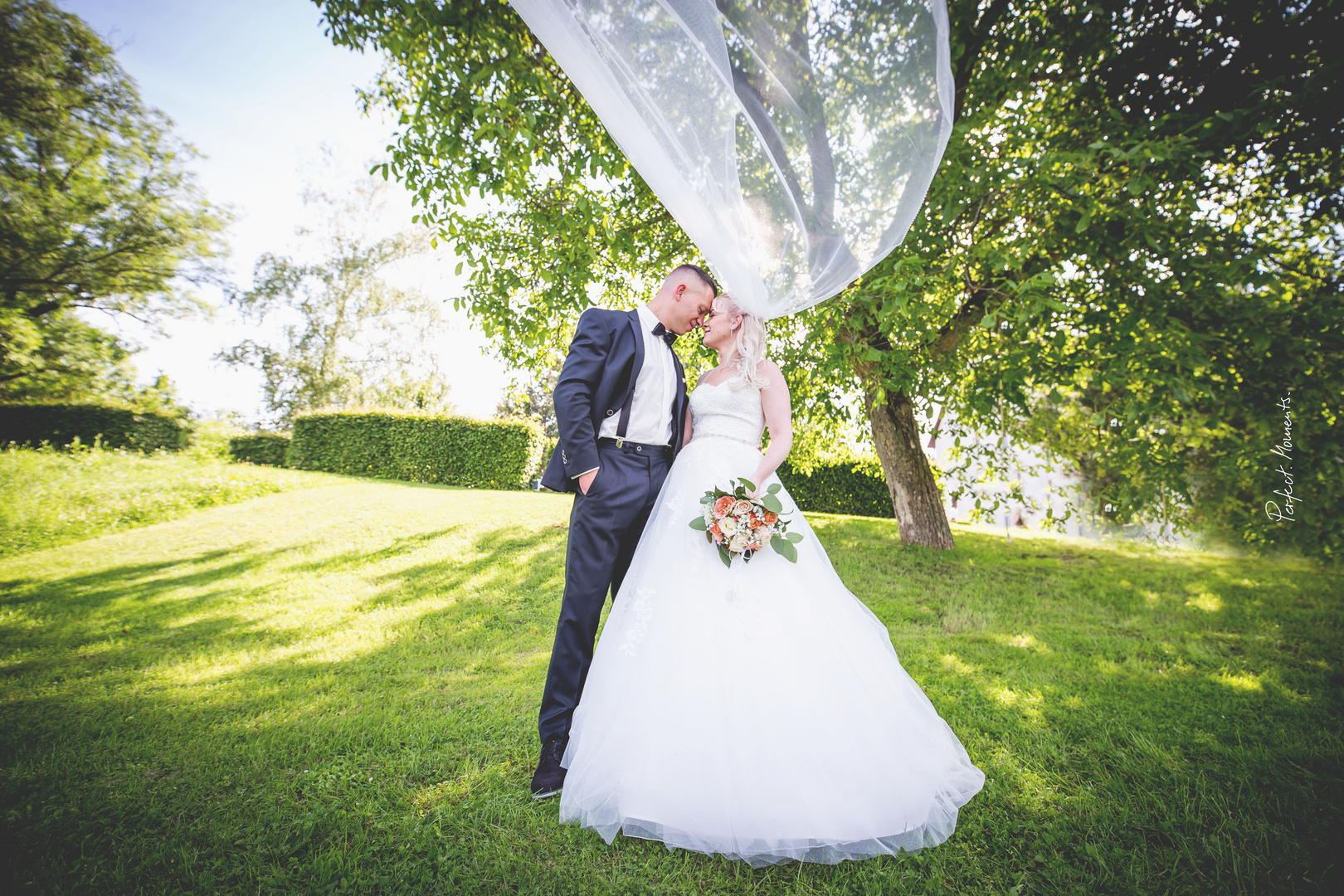 Der Schleier Foto & Bild | hochzeit, menschen, hochzeit brautpaar Bilder auf fotocommunity