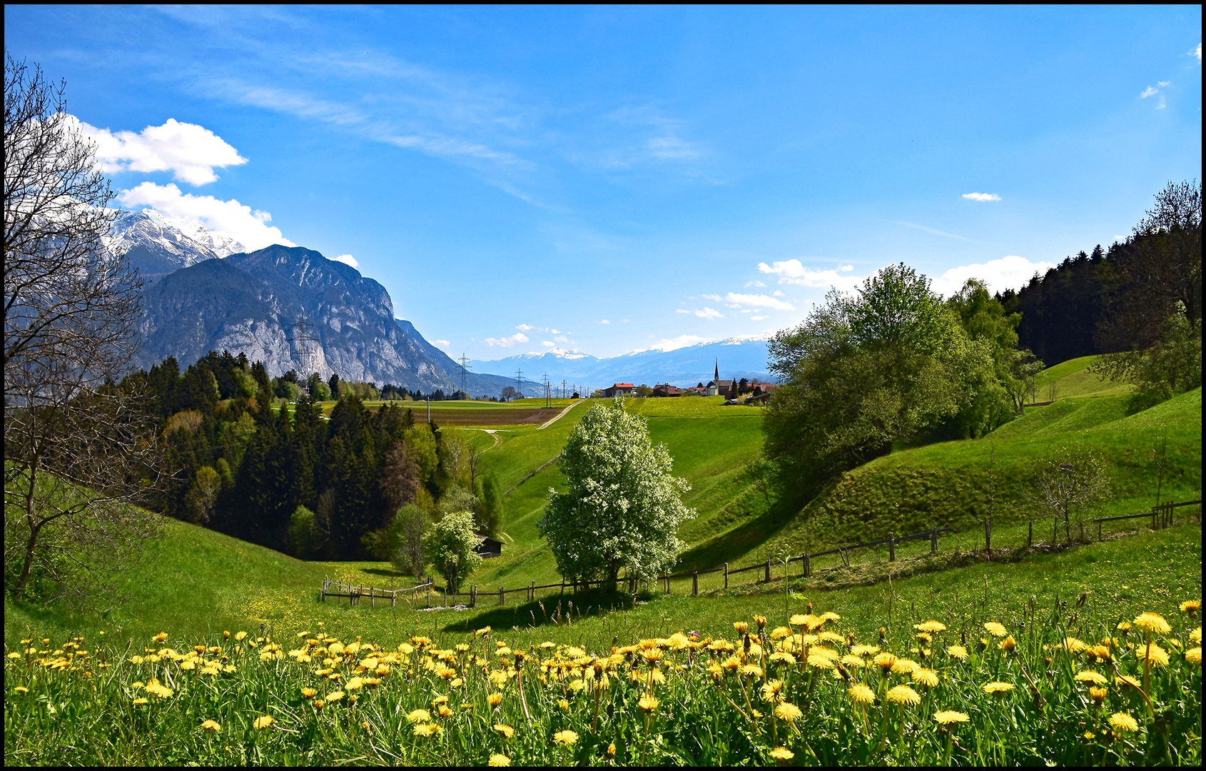 Der Schnee Foto & Bild | wiese, grün, frühling Bilder auf fotocommunity