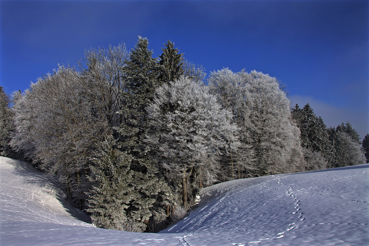 Der Schoss der Mutter Erde Foto & Bild | spezial, experimente, optische ...