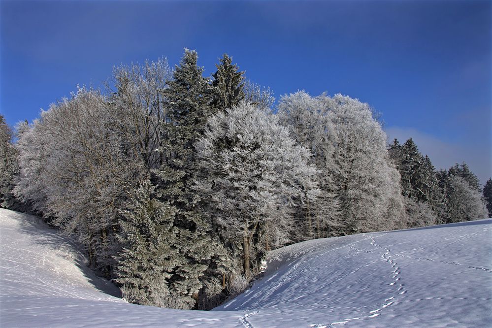 Der Schoss der Mutter Erde Foto & Bild | spezial, experimente, optische ...