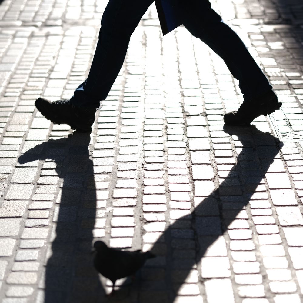 der Schritt Foto & Bild | Bilder auf fotocommunity