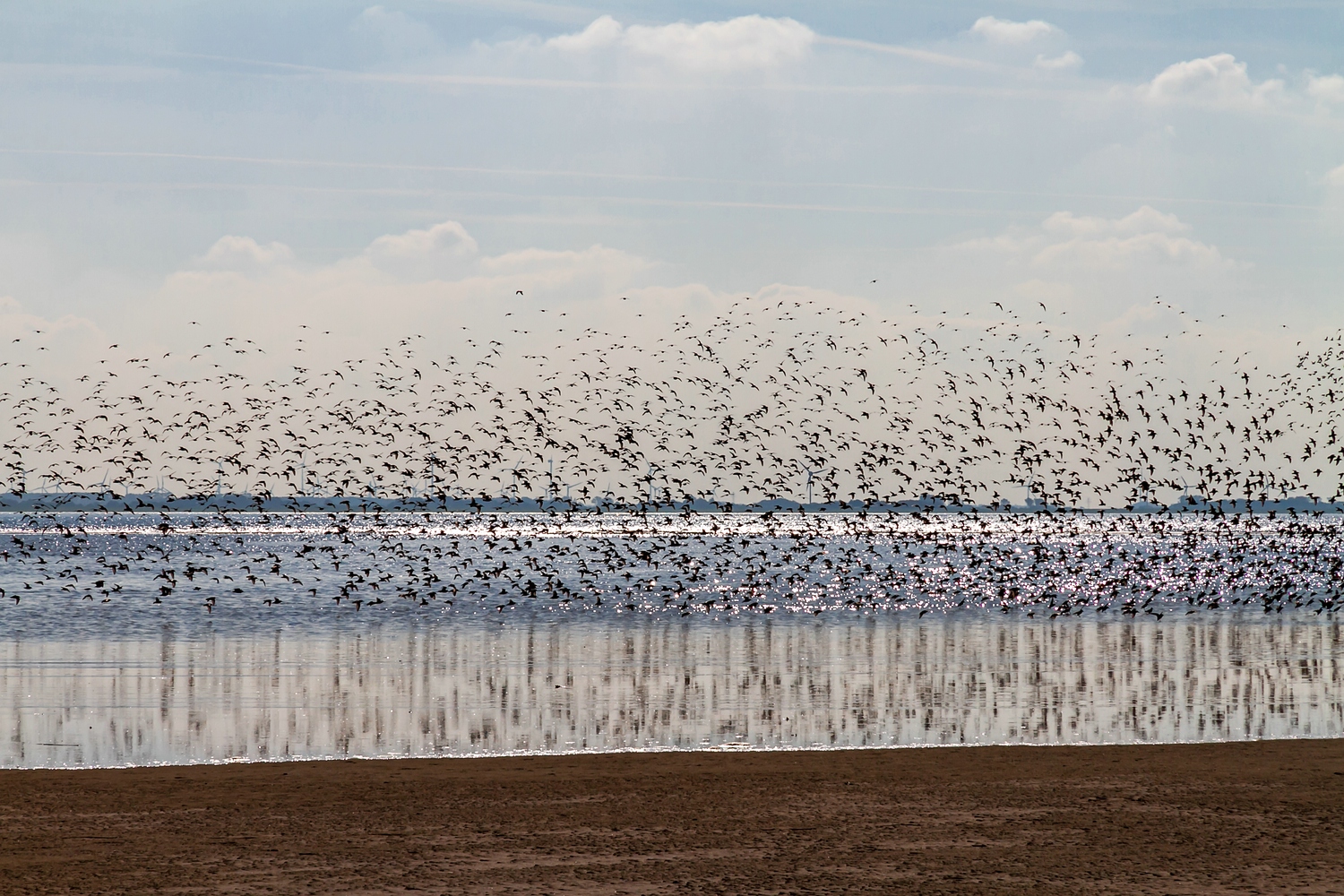 Der Schwarm Foto & Bild | urlaub, fotos, world Bilder auf fotocommunity