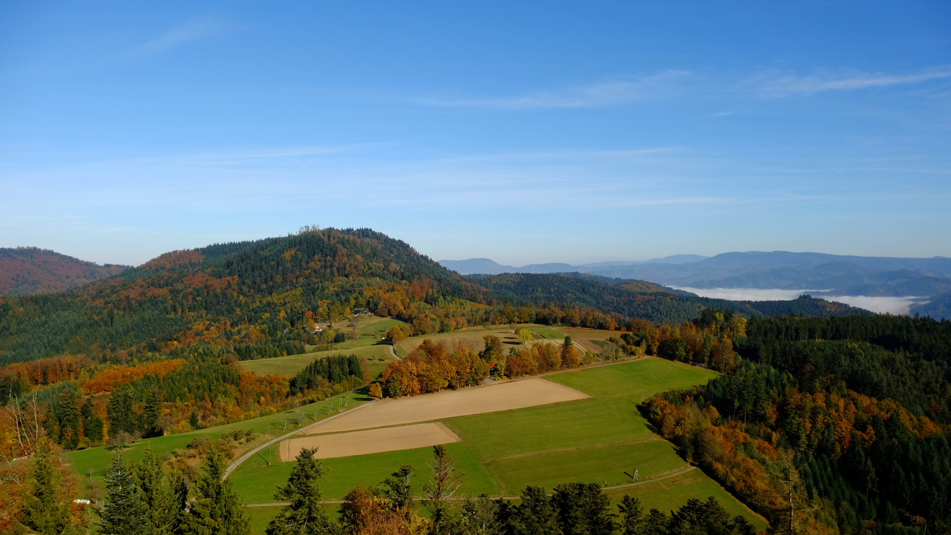 Der Schwarzwald Foto & Bild | wald, natur, landschaft Bilder auf ...