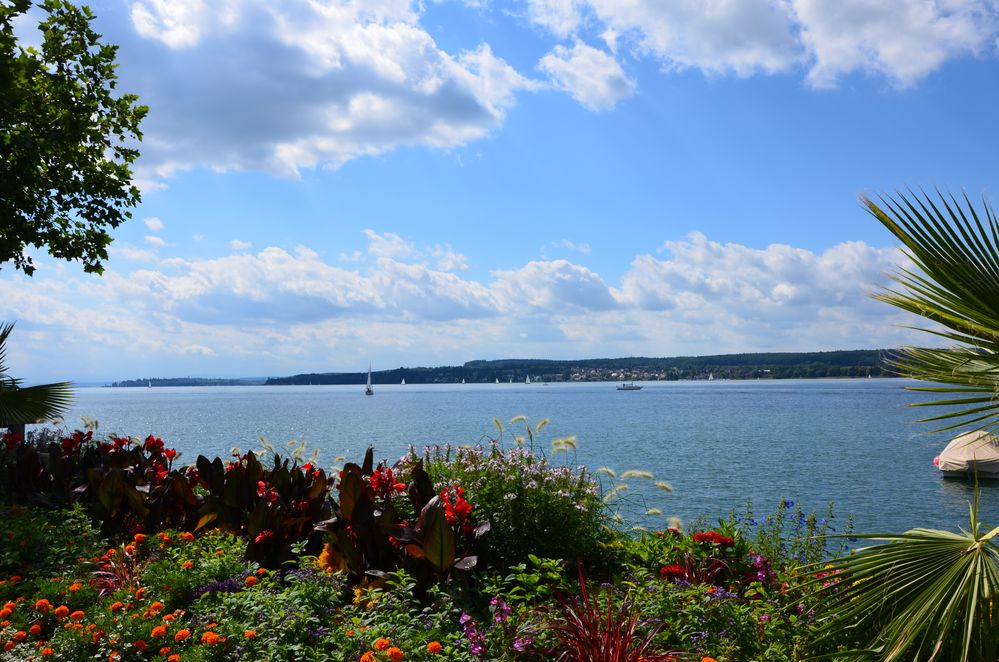 Der See im August Foto & Bild | deutschland, europe, baden- württemberg ...