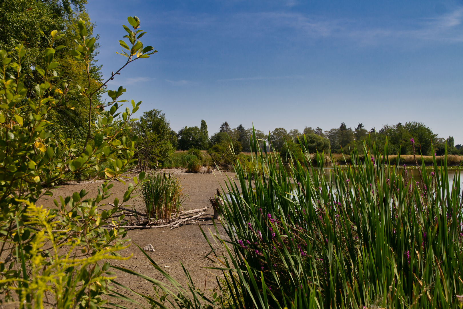 Der See in den Thürer Wiesen Foto & Bild | landschaft, bach, fluss ...