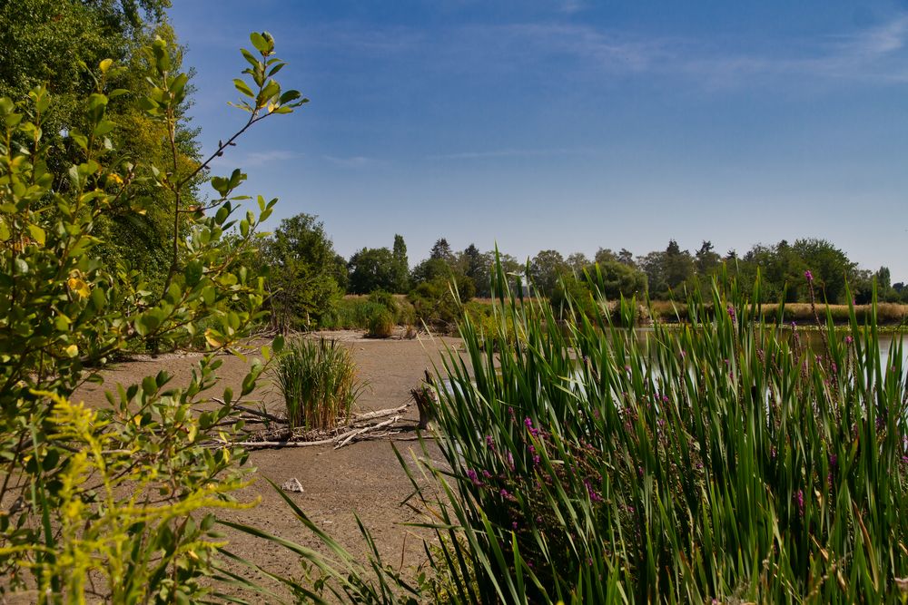 Der See in den Thürer Wiesen Foto & Bild | landschaft, bach, fluss ...