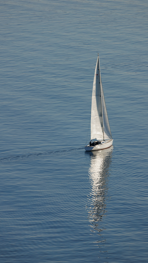 Der Segler auf dem Bodensee Foto & Bild | sport, europe, segel- surf ...