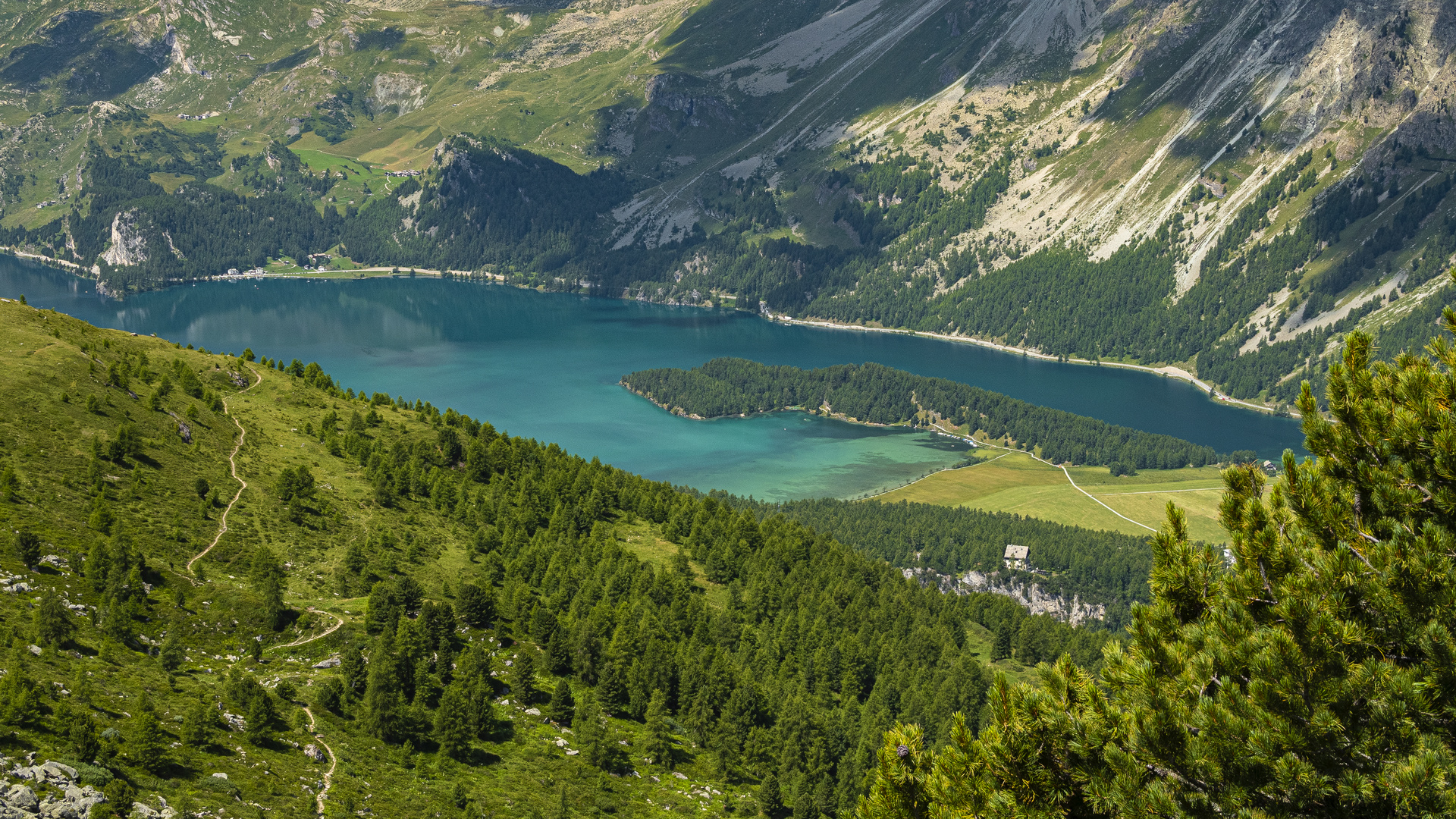 Der Silsersee. Foto & Bild | europe, schweiz & liechtenstein ...