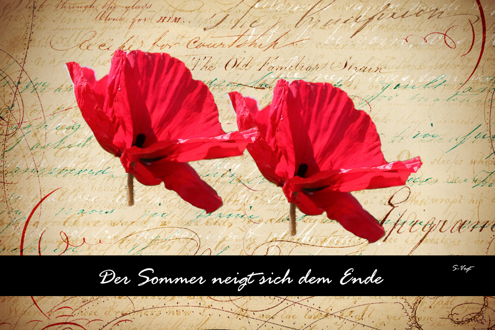 Der Sommer Foto & Bild | karten und kalender, fotokalender, spezial ...